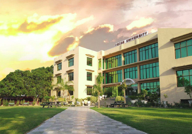 History – CECOS University