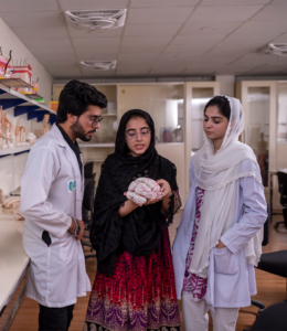 About CECOS – CECOS University